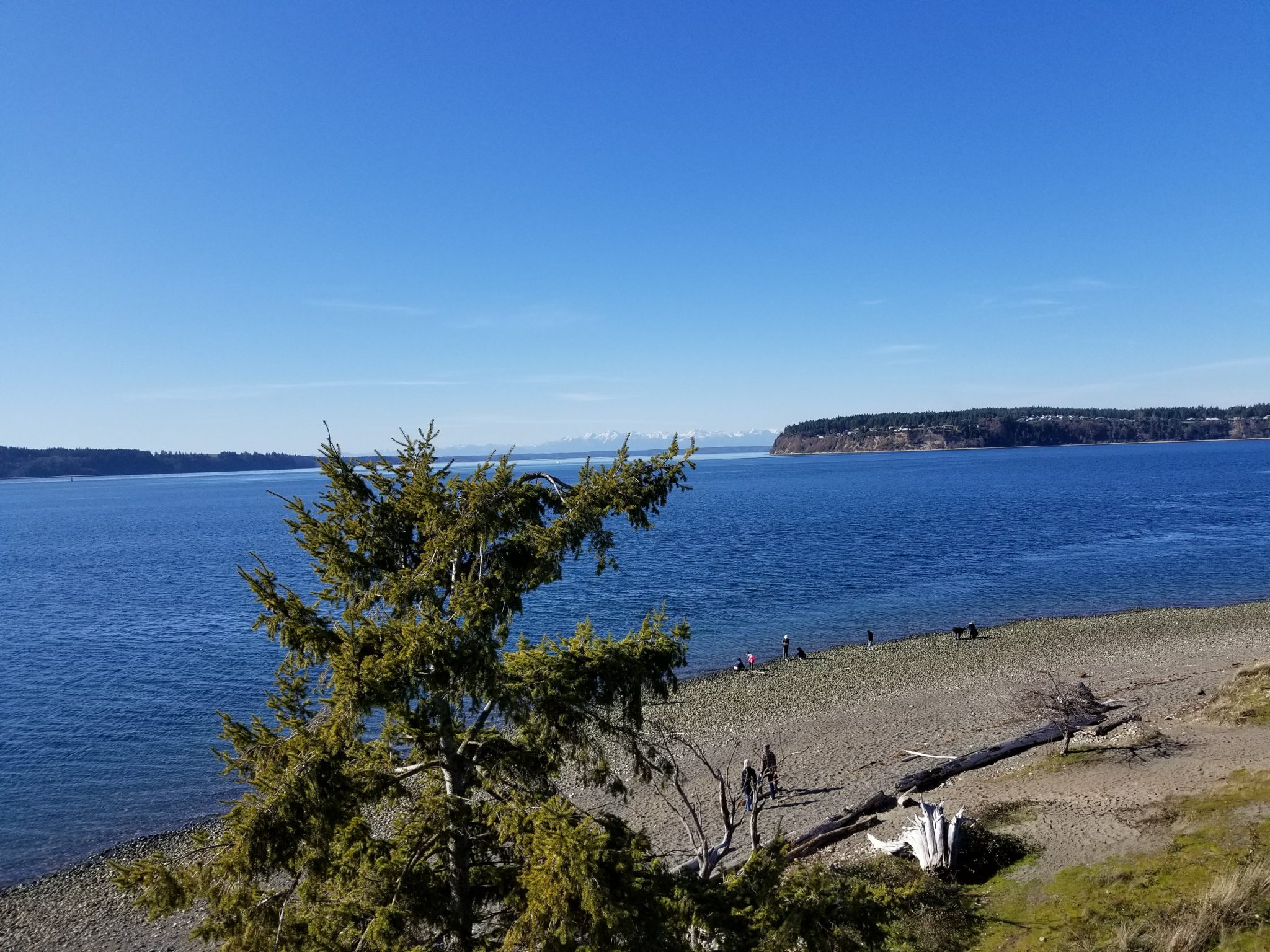 Visiting University Place, WA – Love, Tabitha