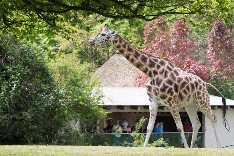 List of Zoos and Aquariums in Washington – Love, Tabitha