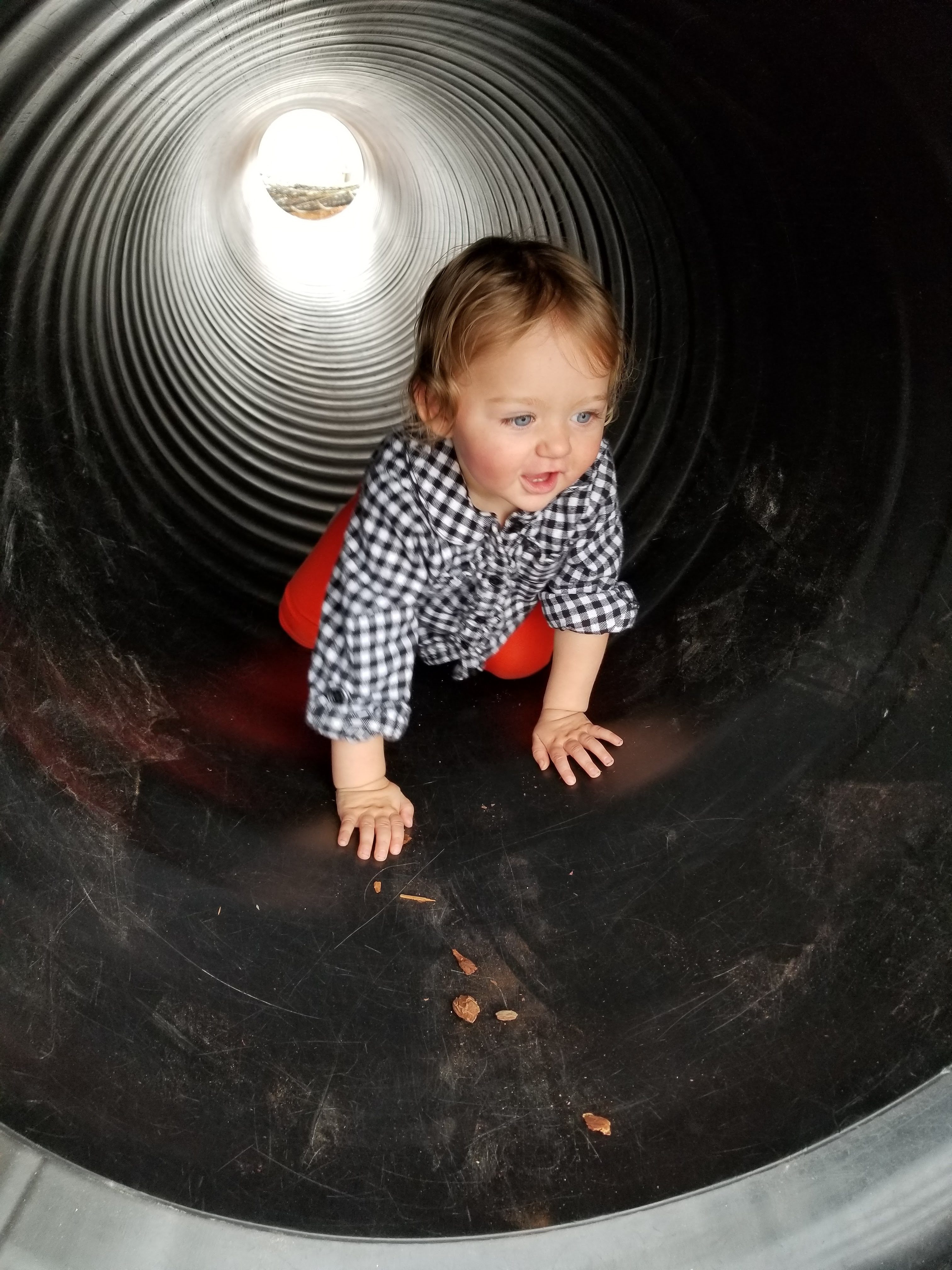 Visit Maris Farms in Buckley for all your fall fun! – Love, Tabitha