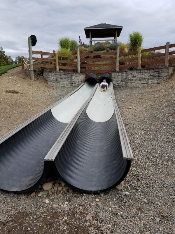 Visit Maris Farms in Buckley for all your fall fun! – Love, Tabitha