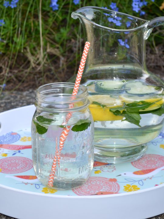 Easy & Healthy Flavored Water – Love, Tabitha