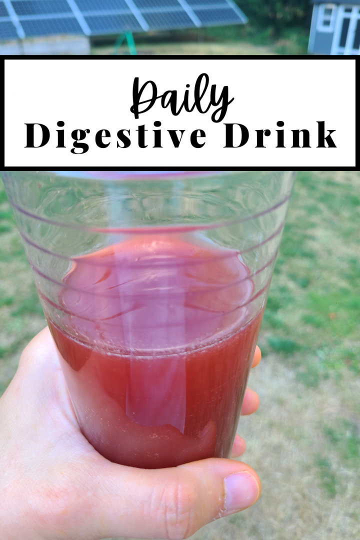 Daily Drink To Help Your Digestive System – Love, Tabitha