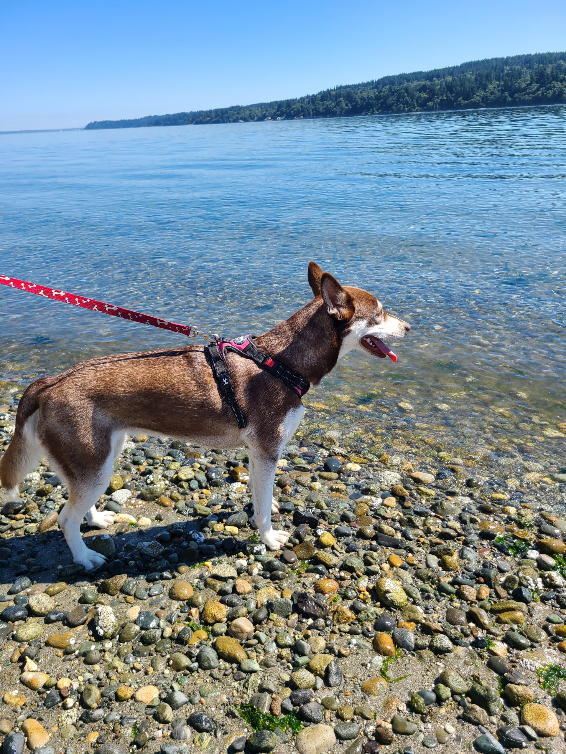 Anderson Point Park – Love, Tabitha