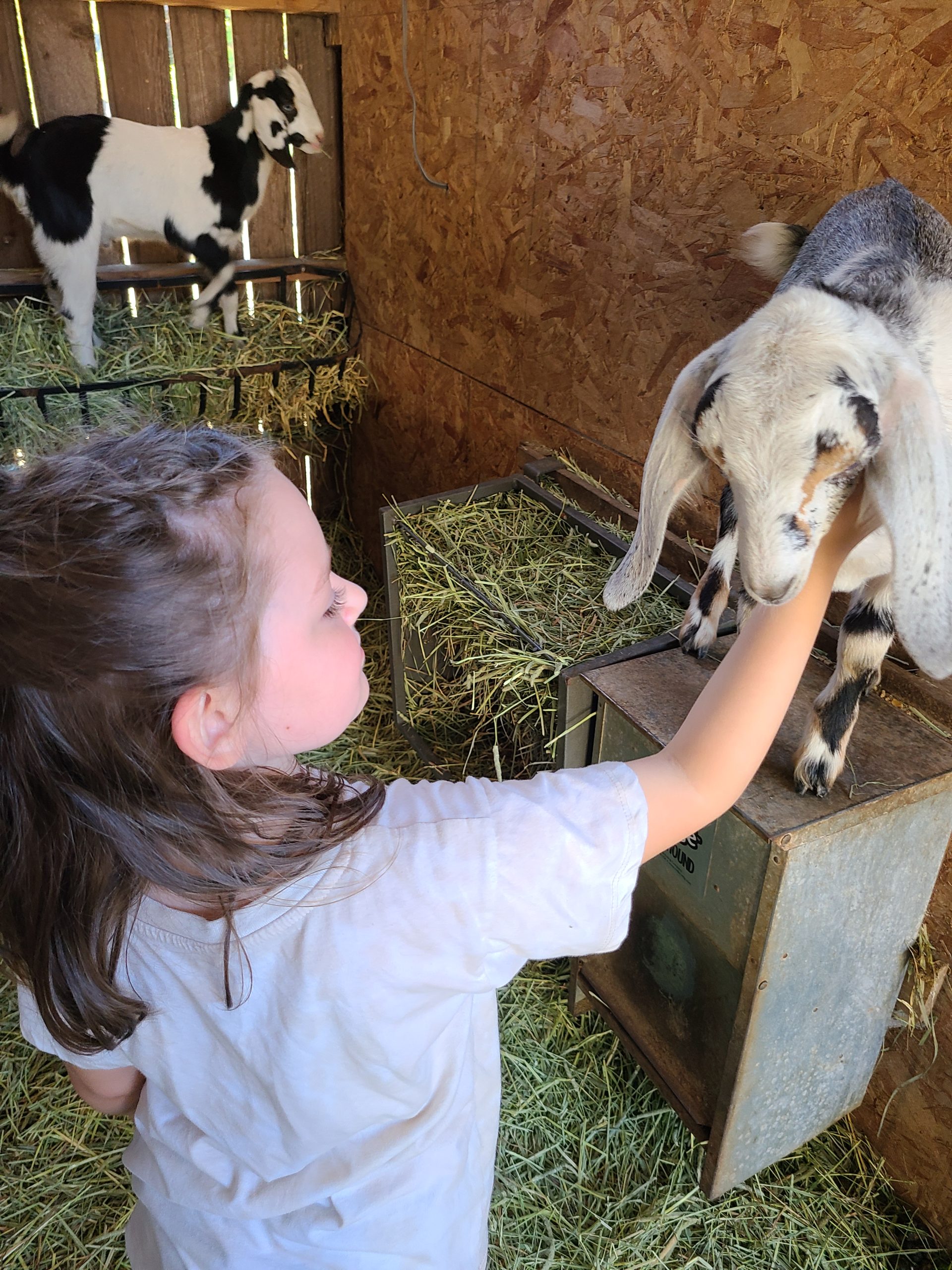 Visiting Kitsap County Farms - Kitsap Farm Tour – Love, Tabitha
