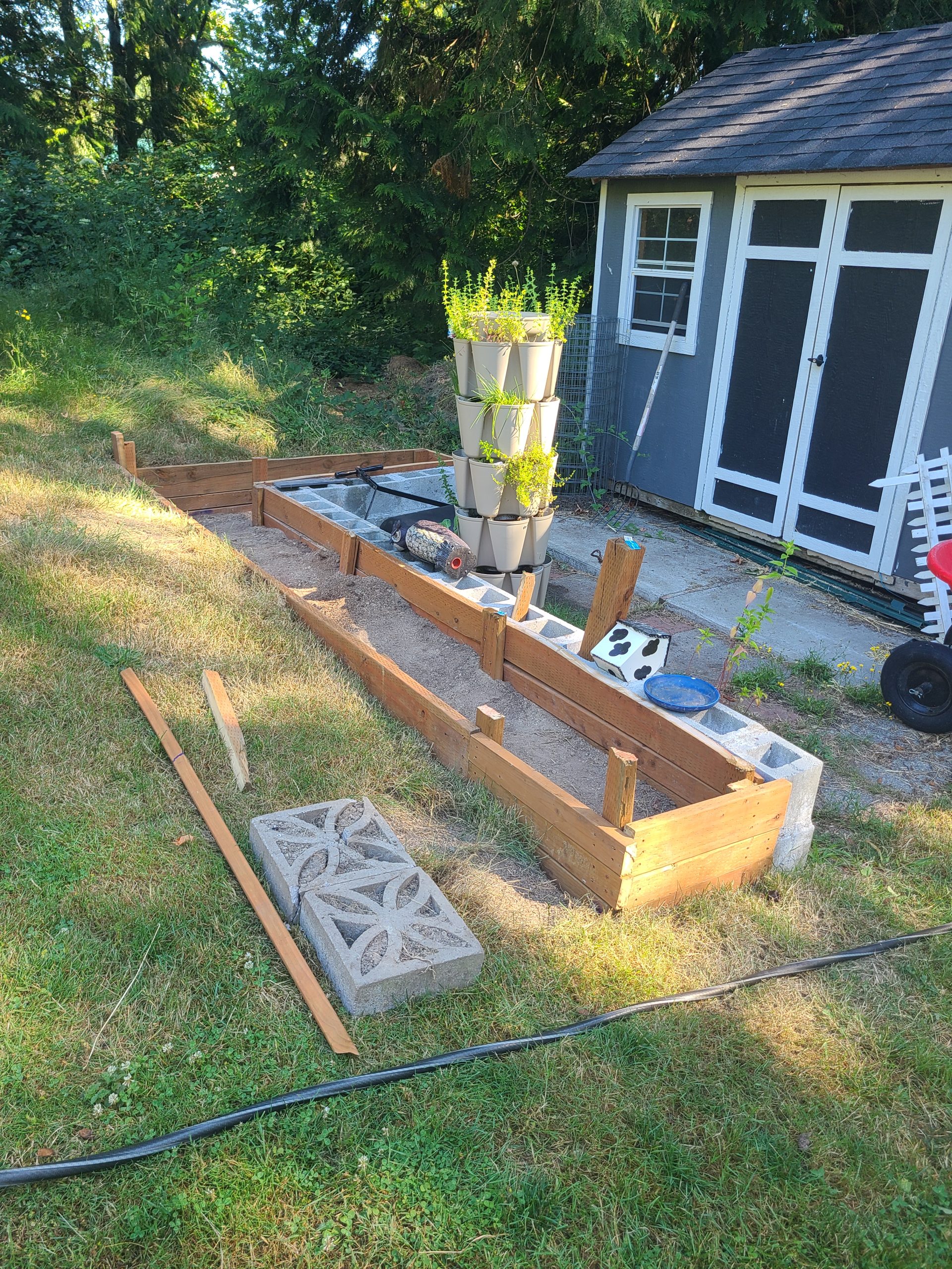 July 2024 On The Homestead – Love, Tabitha