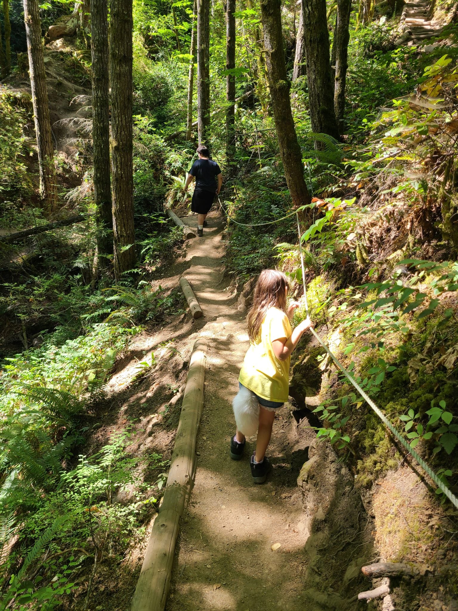 Dickerson Creek Falls Hike in Bremerton: A Complete Guide – Love, Tabitha