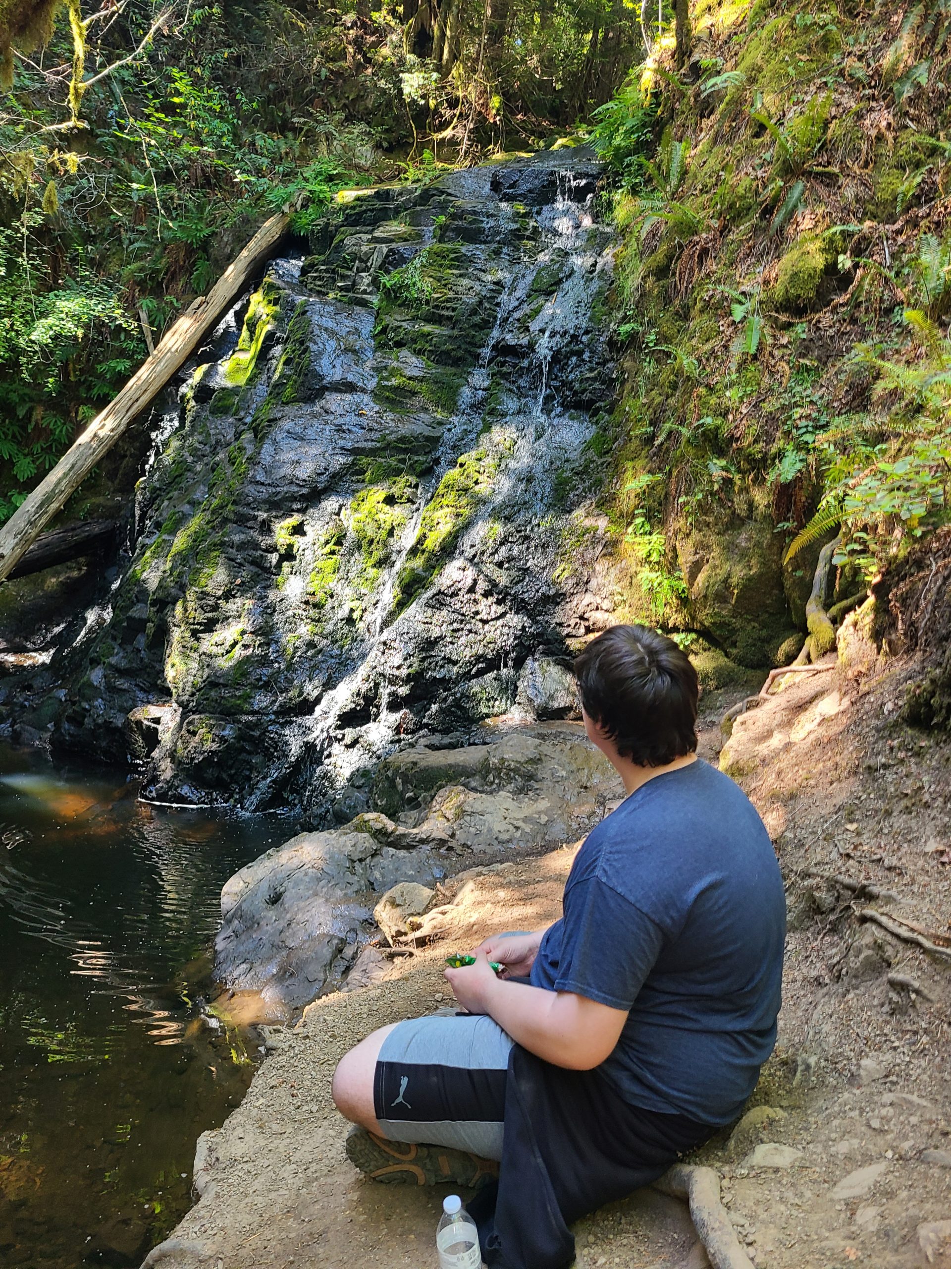 Dickerson Creek Falls Hike in Bremerton: A Complete Guide – Love, Tabitha
