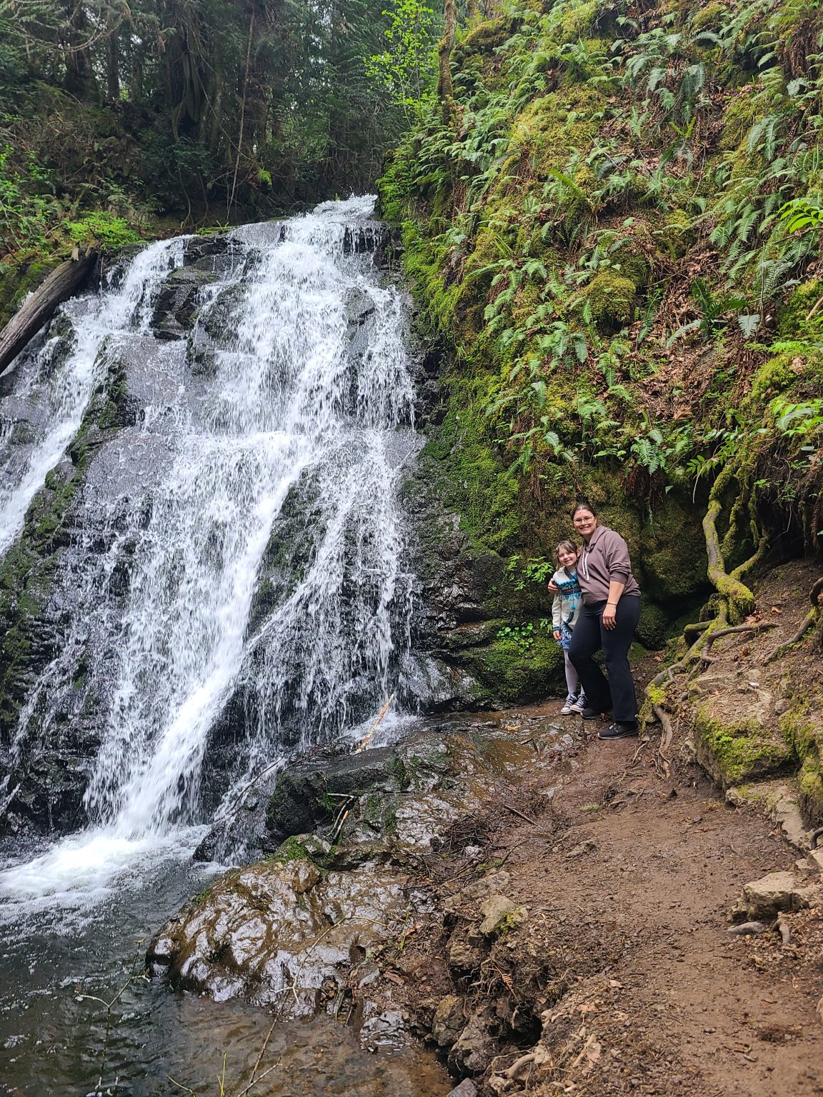 Dickerson Creek Falls Hike in Bremerton: A Complete Guide – Love, Tabitha